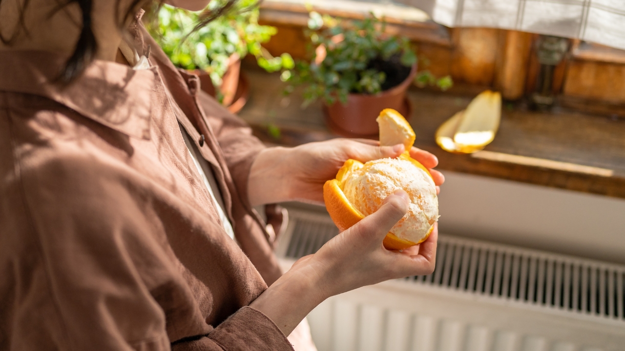 10 Natural Smells That Ants Can’t Stand