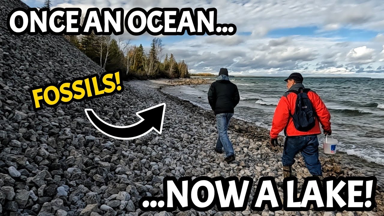 Michigan's Ancient Oceans - Discovering 360 Million-Year-Old Fossils in ...
