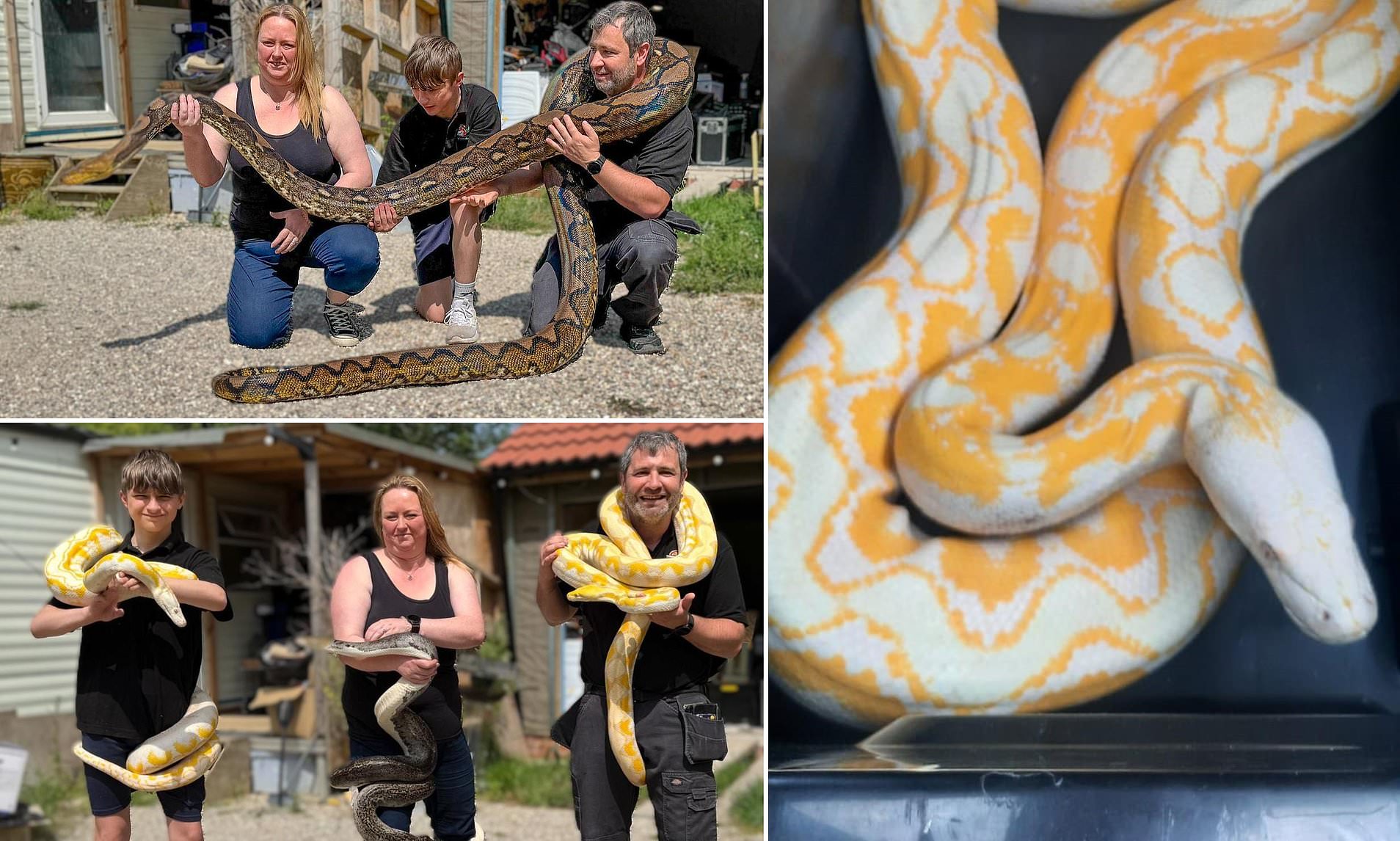 Dog walkers warned after 18ft long python that can crush pets to death is on the loose