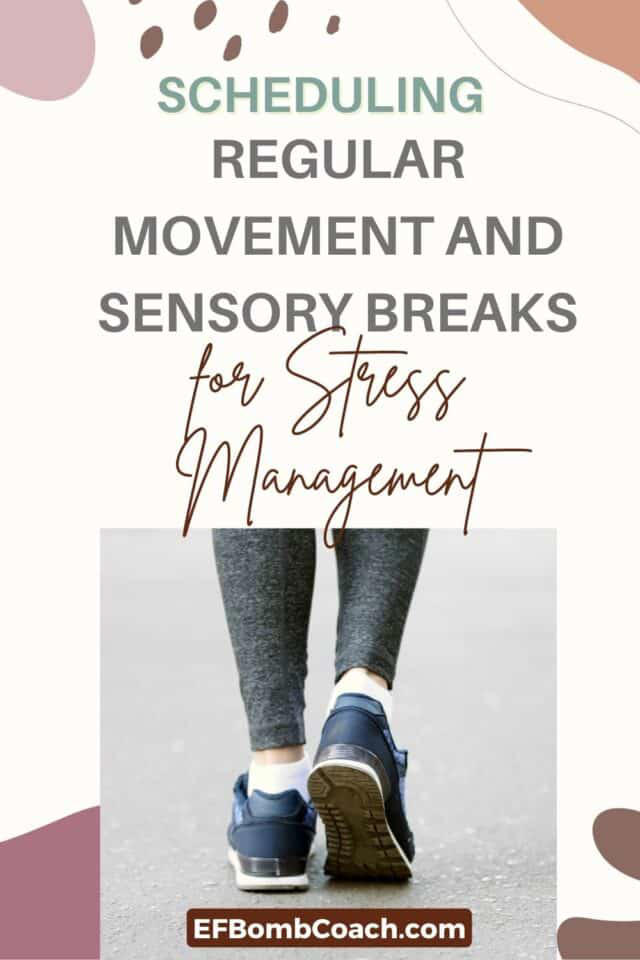 Scheduling Regular Movement and Sensory Breaks for Stress Management