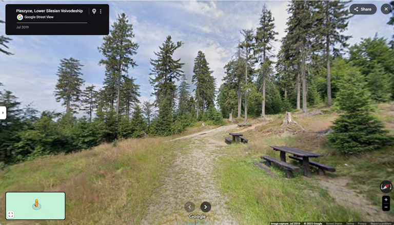 Large creature caught on trail camera scavenging in Poland woods. See ...