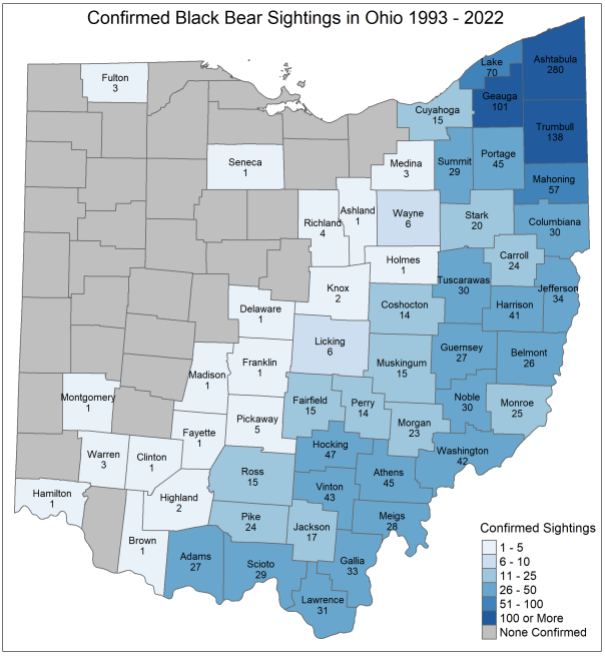 Another black bear spotted in Ohio. Here's where, what happened, how to ...