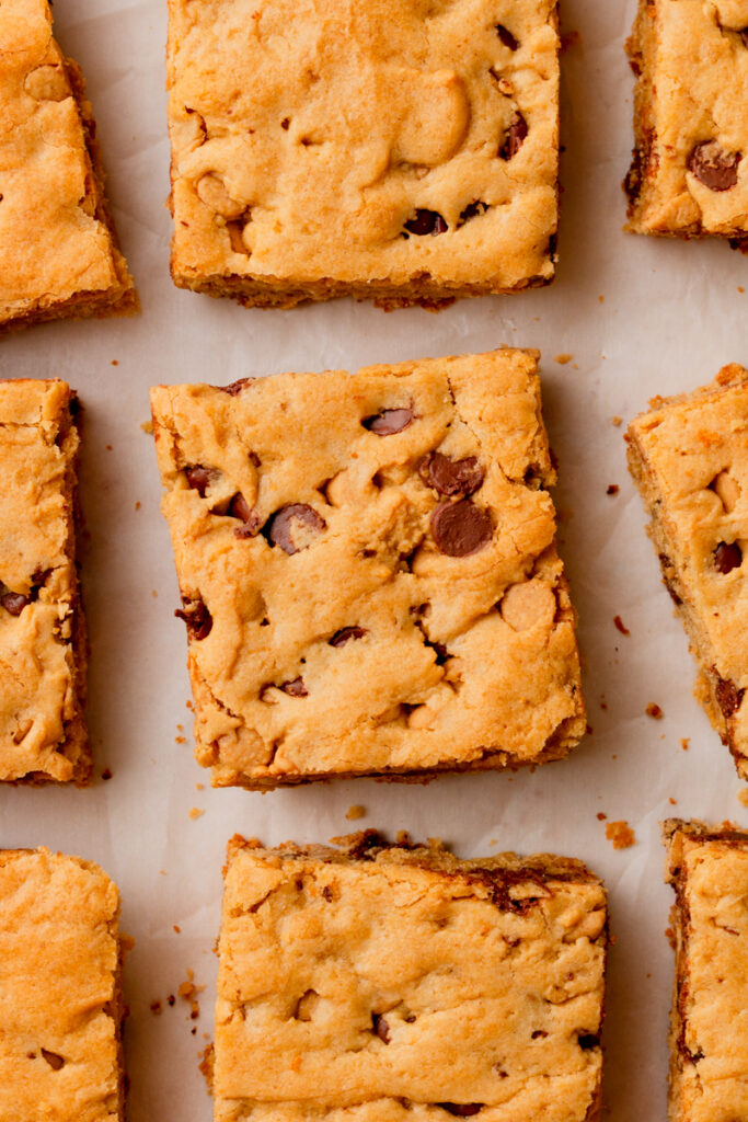 Sweet Tooth Squares: Dessert Bars for those Cravings!