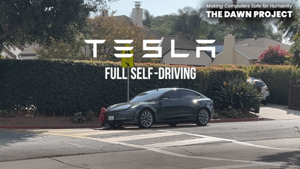 Tesla’s Self-Driving Tech Hits a 'Child' in Safety Test—8 Times