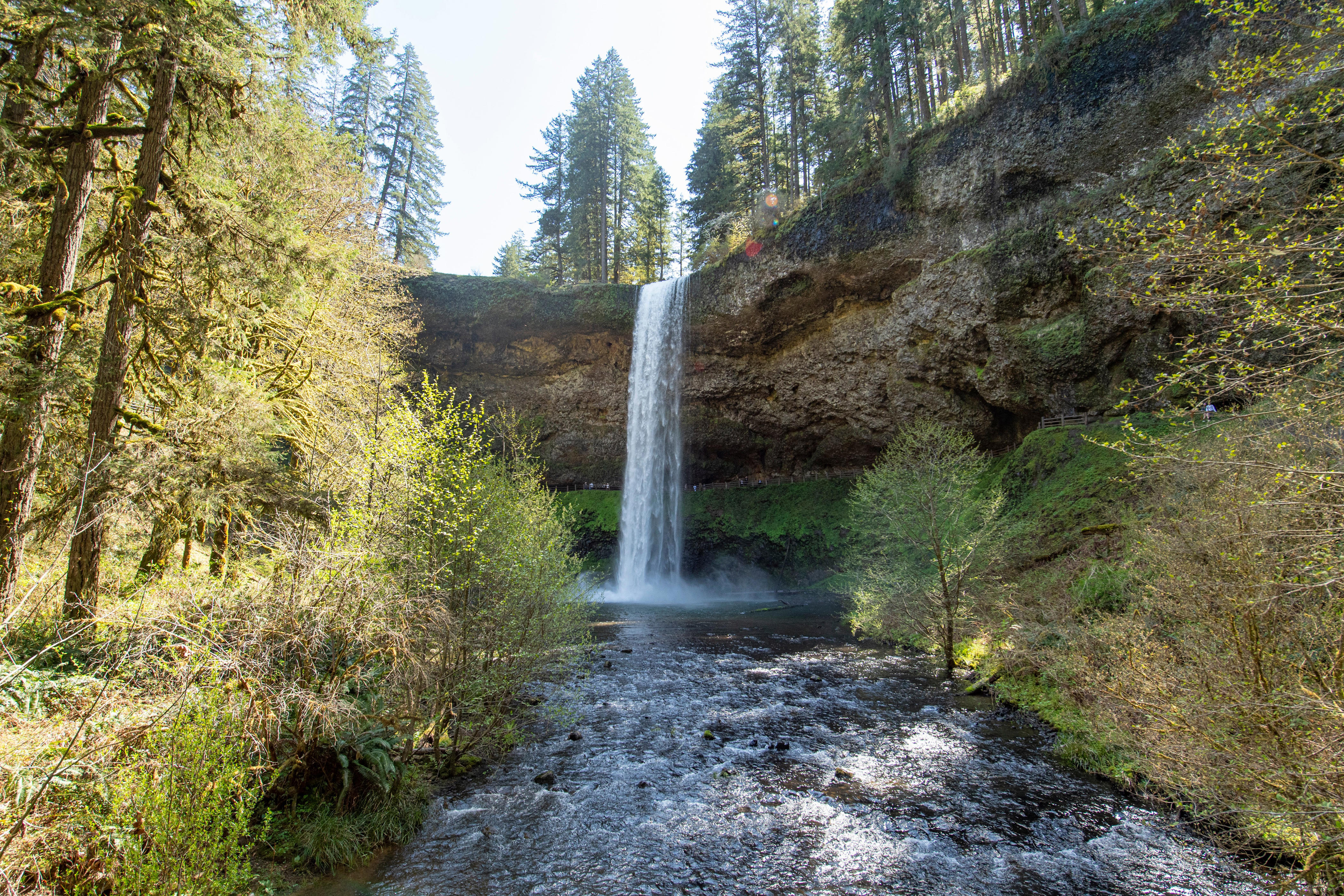 Silver Falls State Park campground to reopen, now accepting reservations