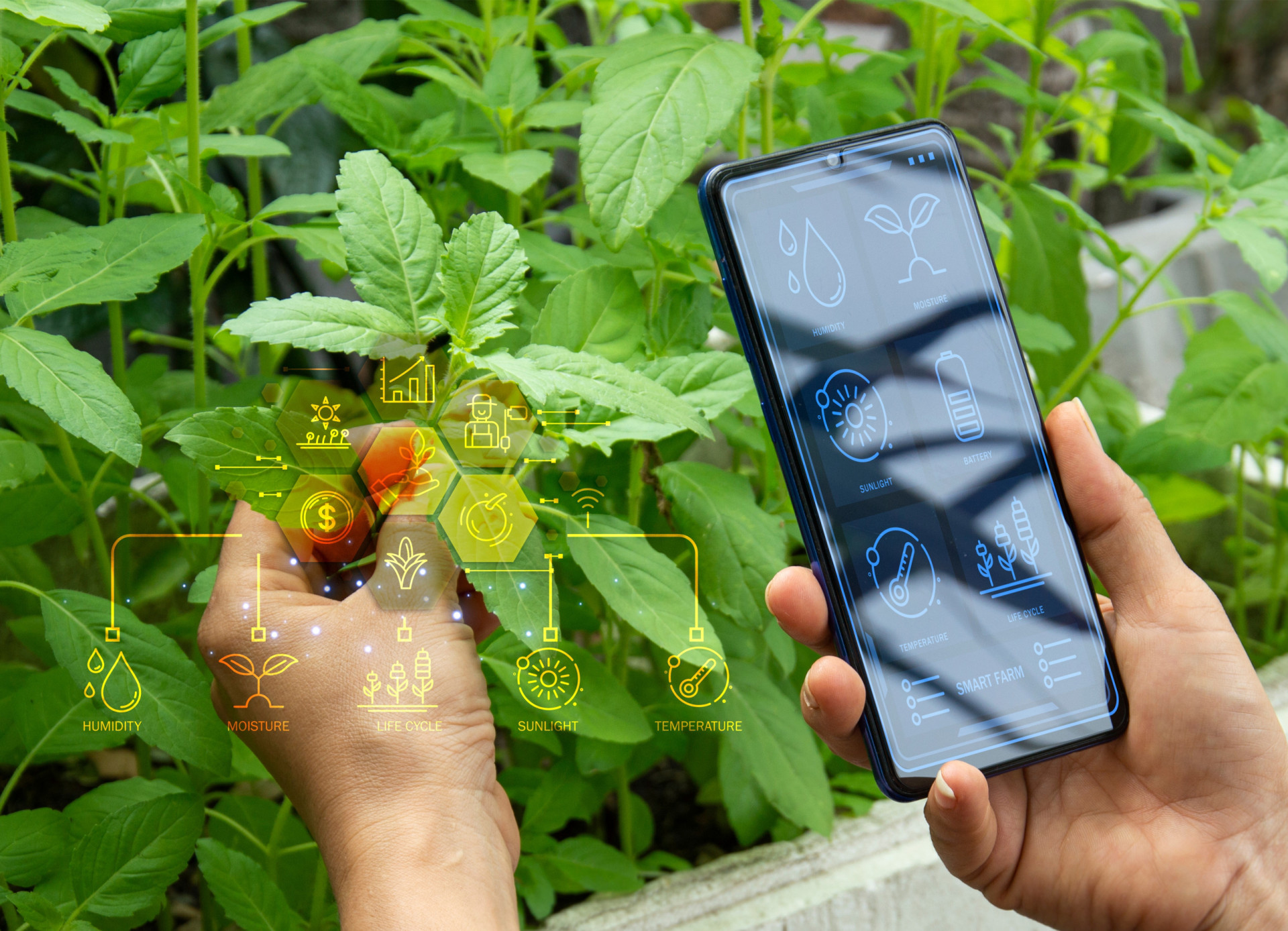 How AI can be used in agriculture