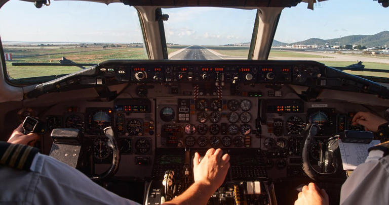 Hero Pilot Saves Thousands Of Unwanted Animals In Heartwarming Story