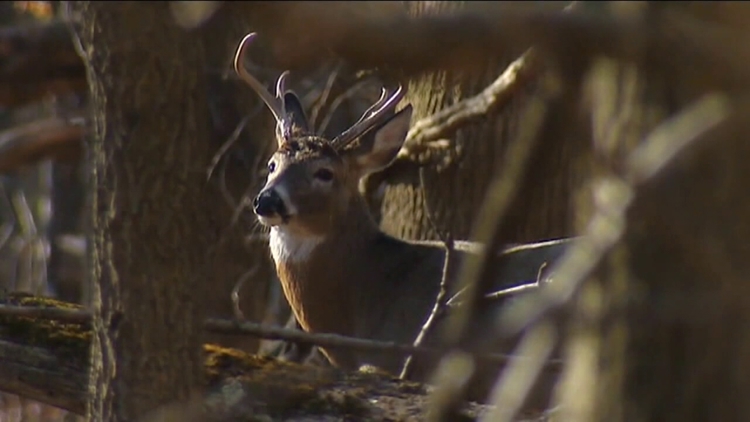 State parks prepare for Sunday hunting