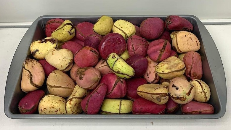 11 Of The Most Underrated Types Of Nuts