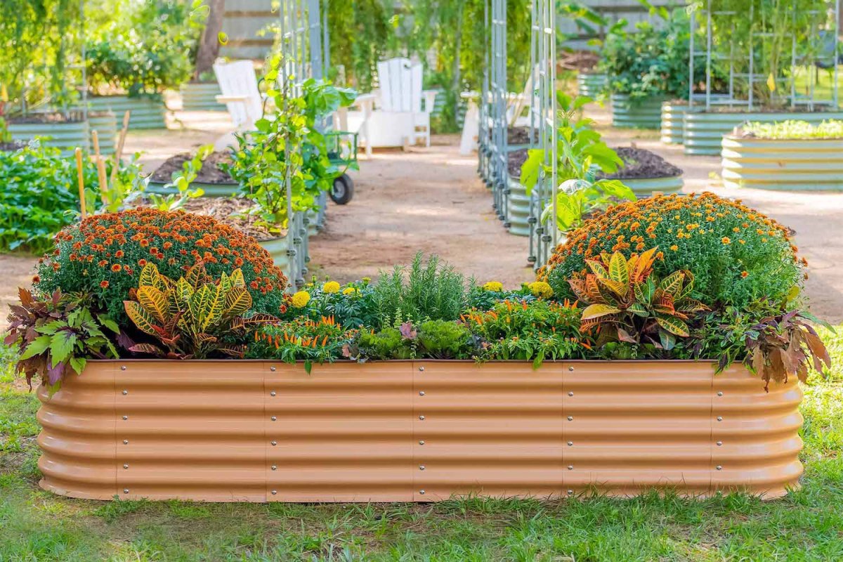 Vego will help you become a better gardener