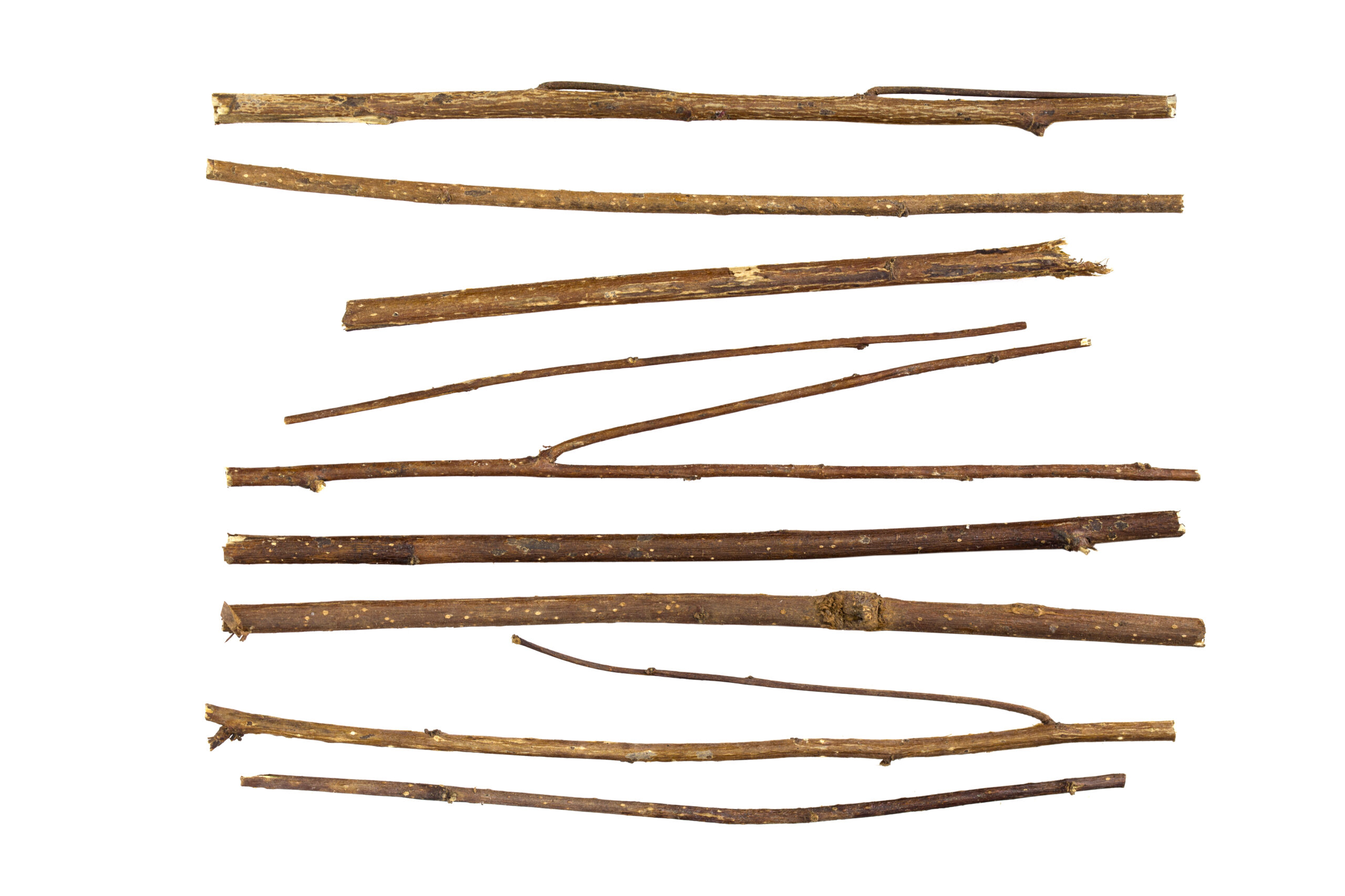 "Official Stick Reviews" highlights cool sticks from all over the world