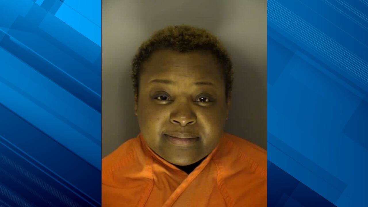 Former Horry County corrections officer pleads guilty to filing false ...
