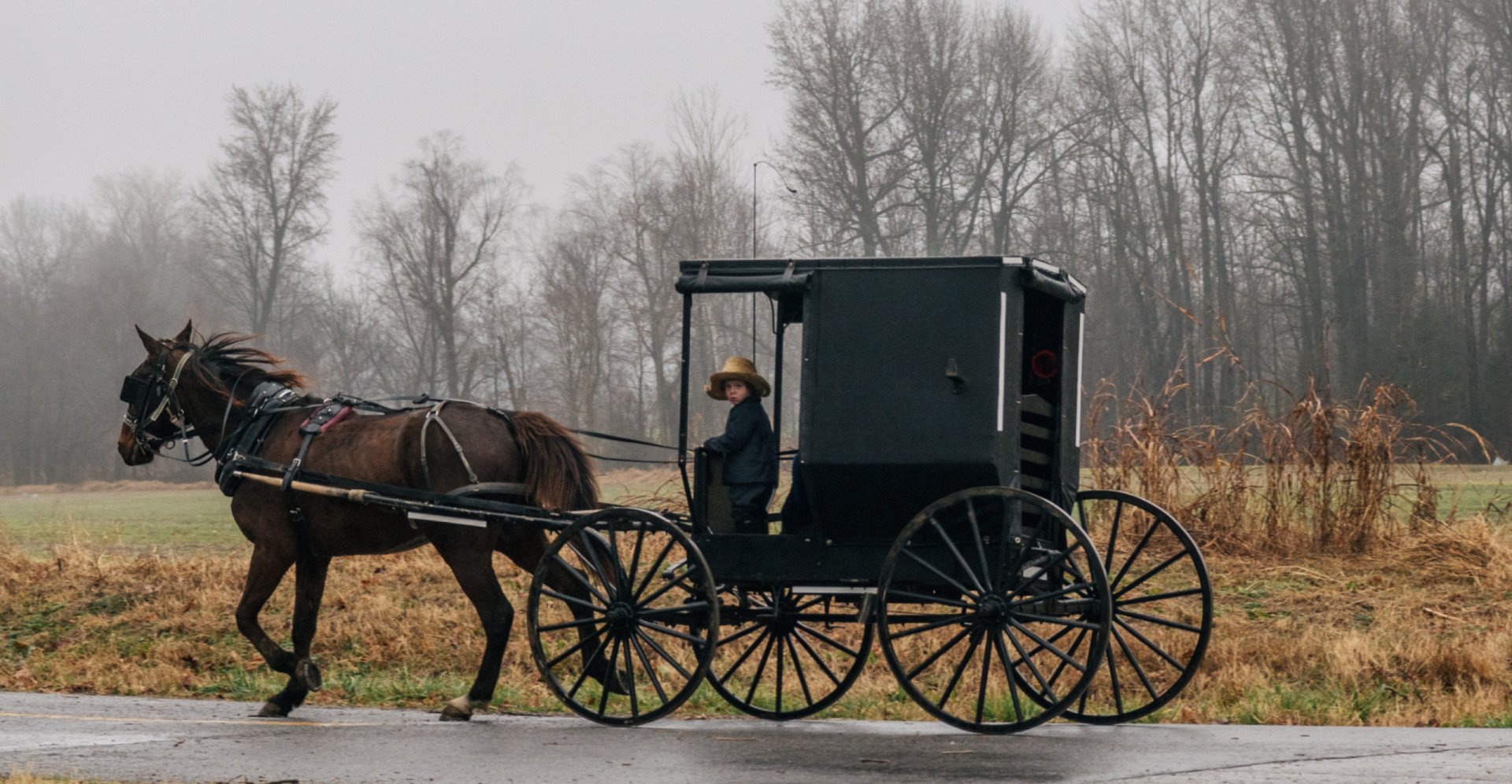 Inside Amish life: the unique rules that shape their world