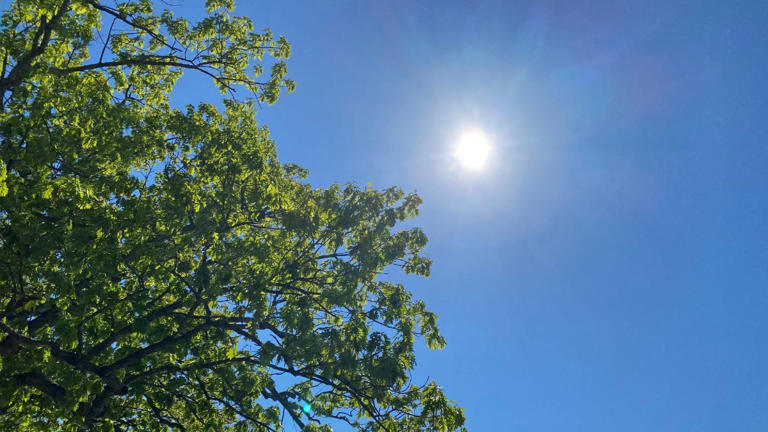 Connecticut activates extreme heat protocol as dangerous temperatures ...
