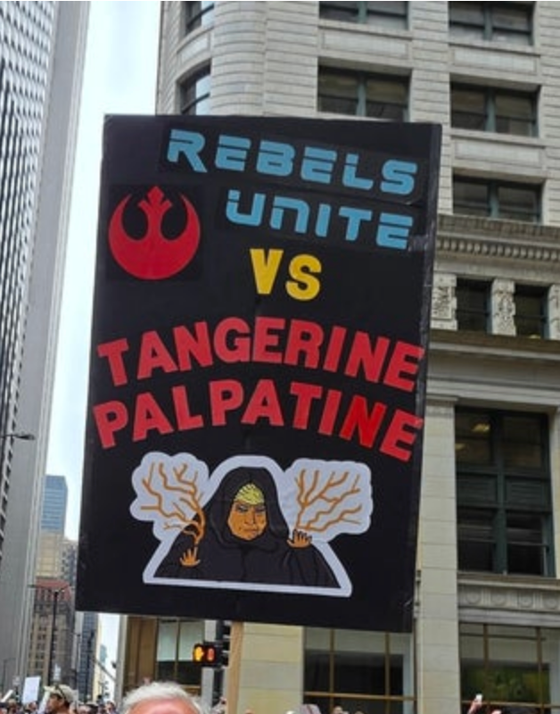 23 More Of The Funniest And Most Creative Signs From The "No Kings ...
