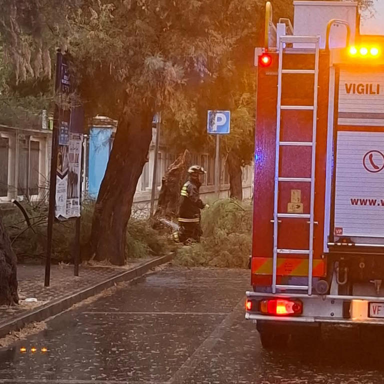 Forti raffiche di vento e temporali, le Marche nella morsa del maltempo: «Uscite solo se ...