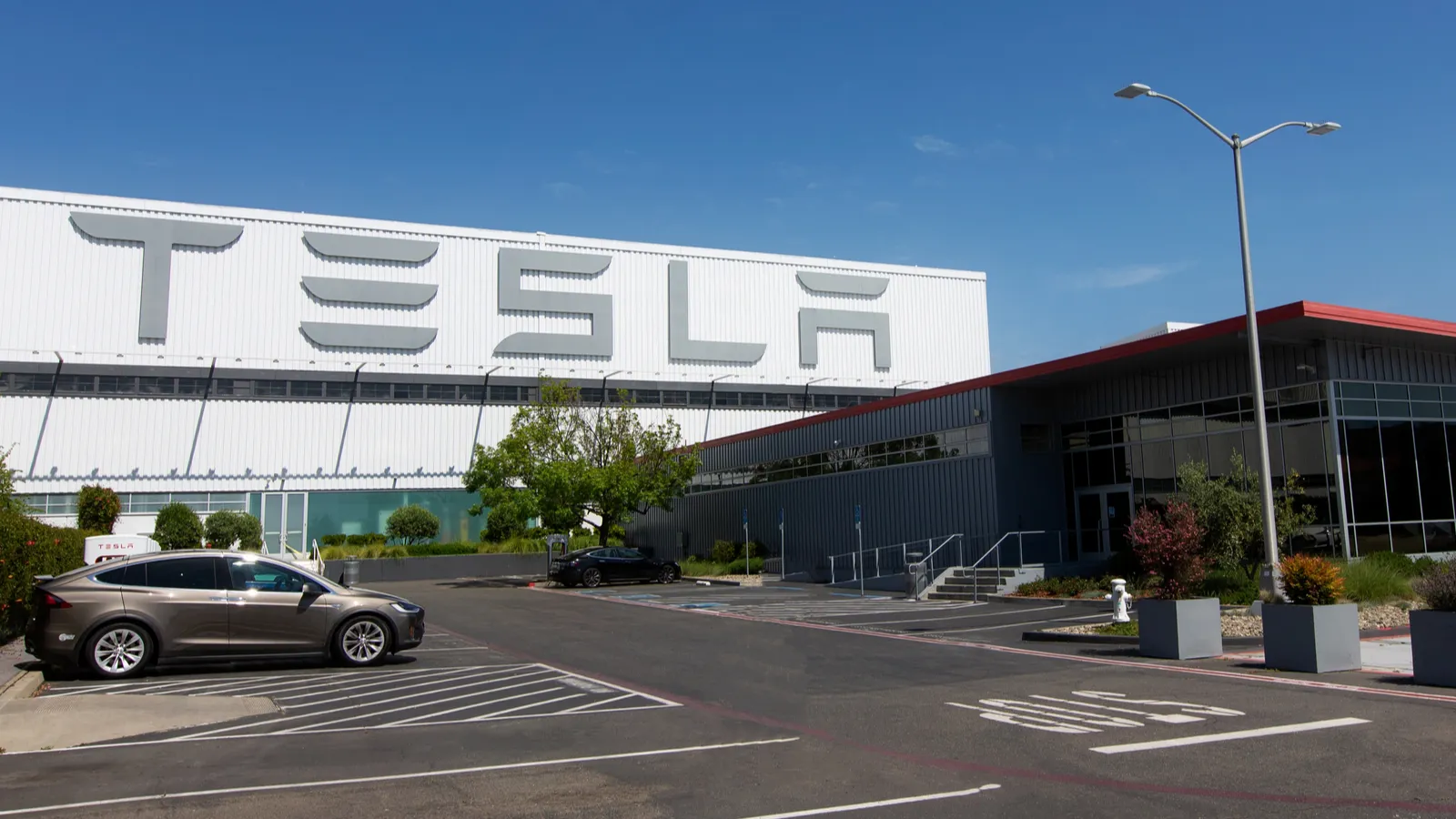 New Tesla Factory Gets Green Light Despite Fierce Backlash: ‘No One ...
