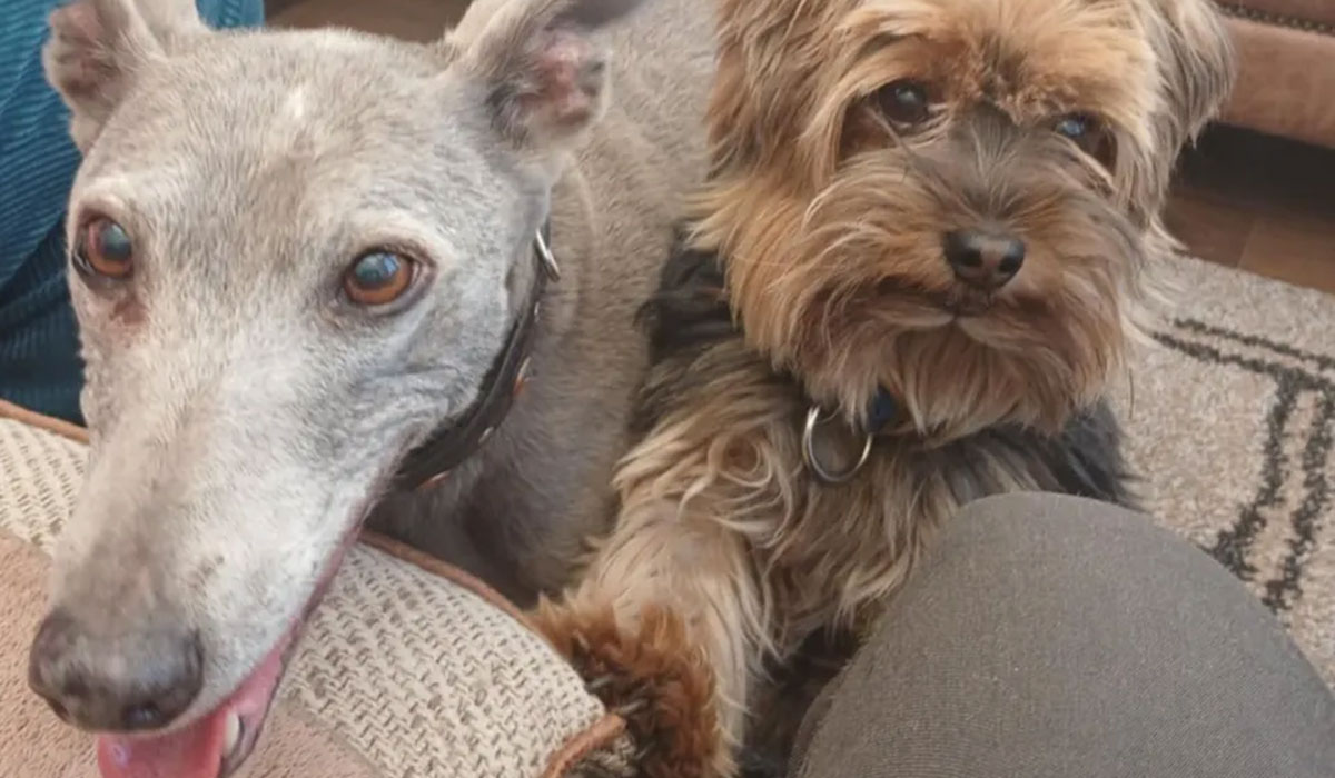 Thatched cottage of elderly woman ravaged by tragic fire in Cork