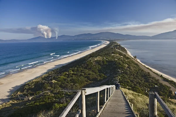 15 Tasmania’s Remote Islands and Wildlife