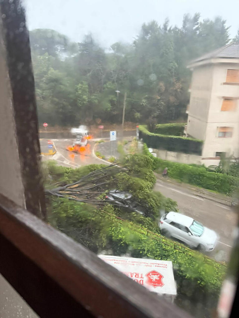 Forti raffiche di vento e temporali, le Marche nella morsa del maltempo: «Uscite solo se ...