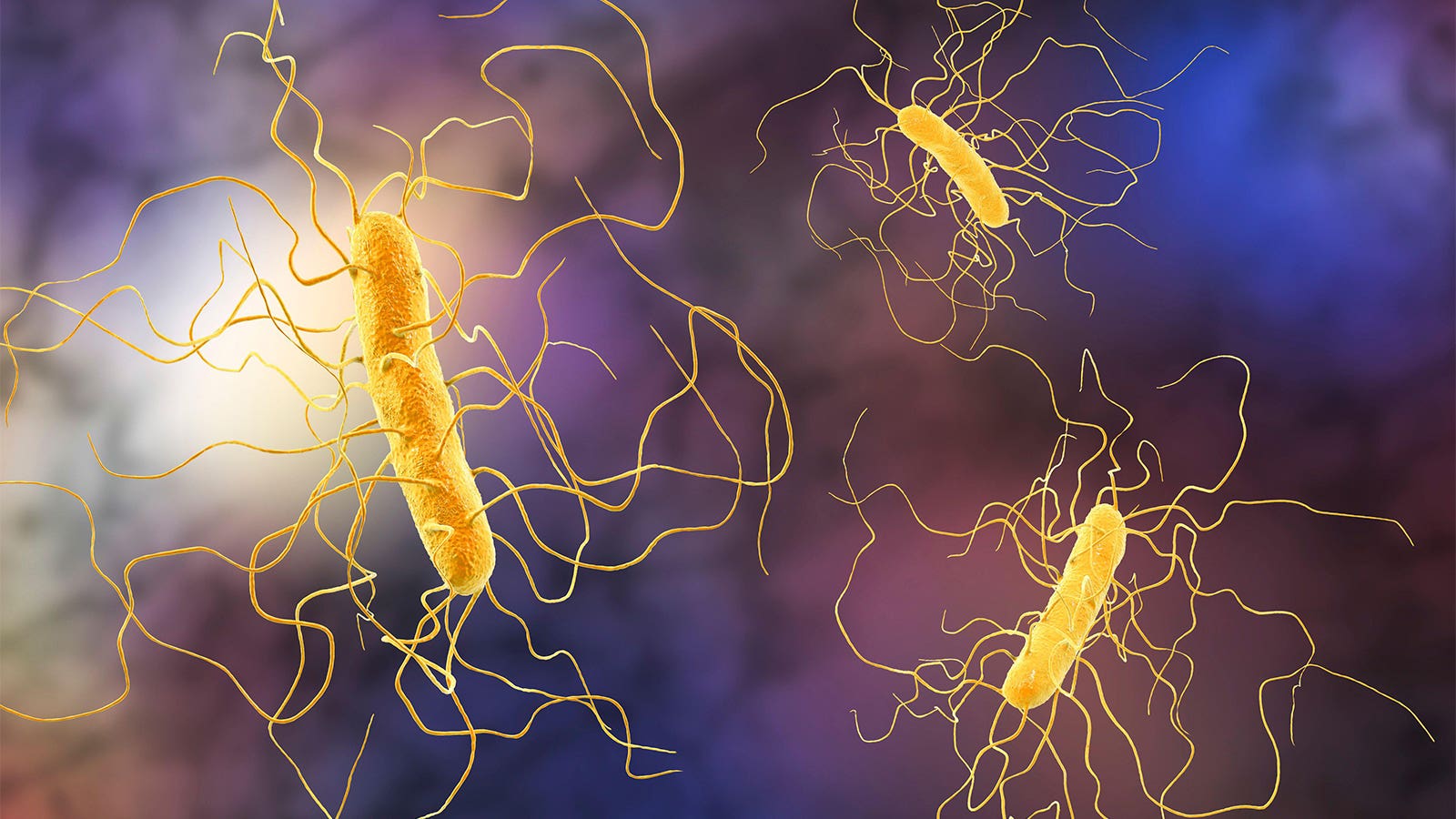 Fecal Transplant Noninferior to Vancomycin for Initial C. Diff Therapy