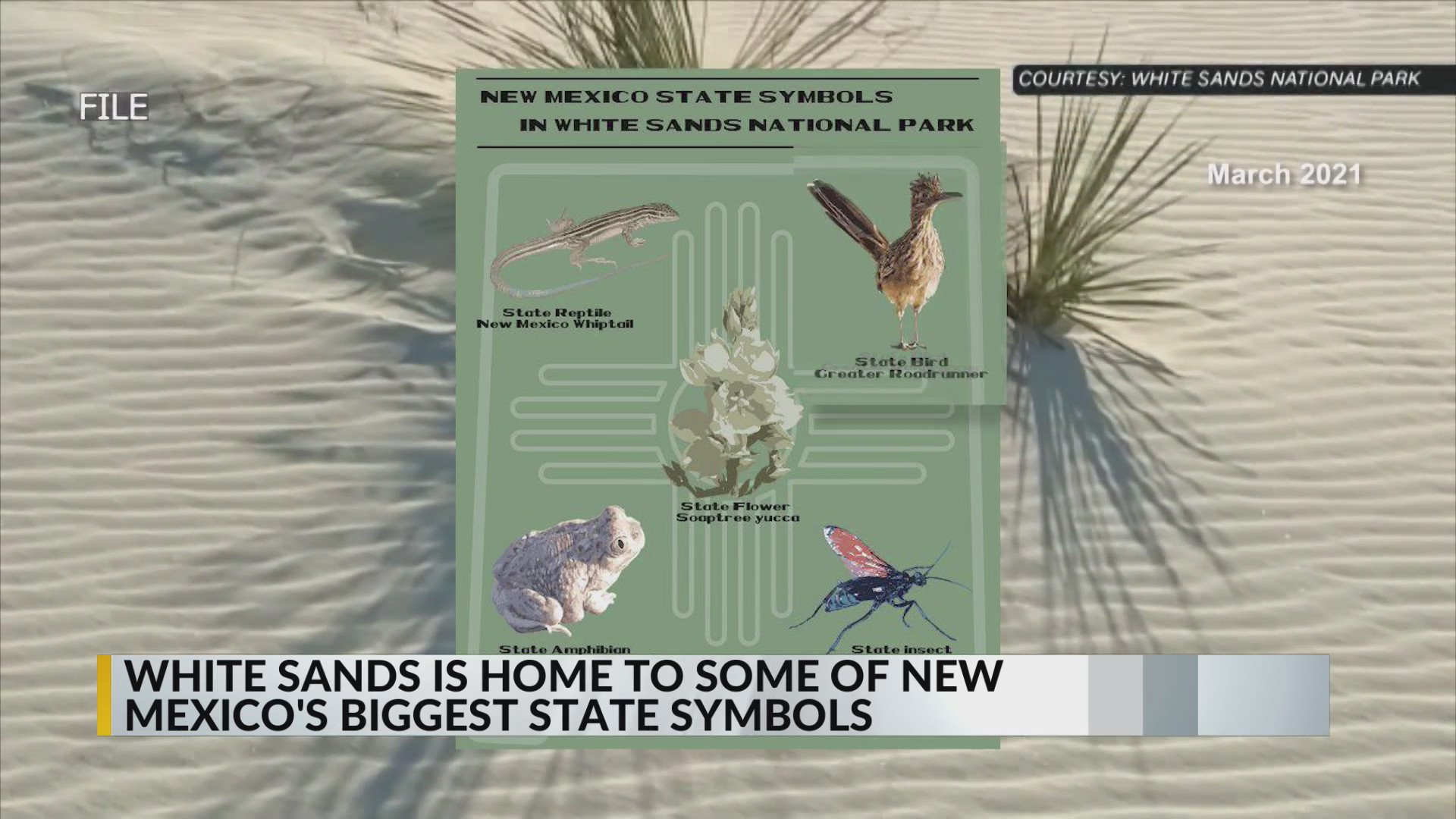 National New Mexico day honors unique state symbols and wildlife