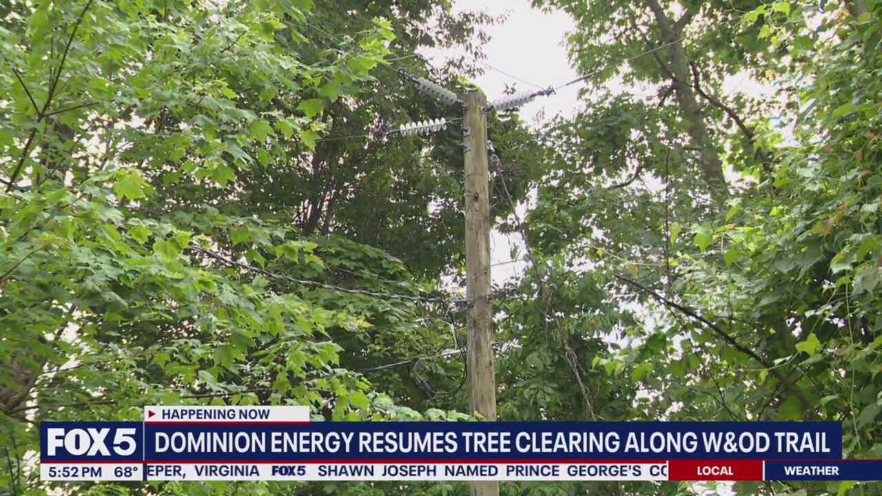 Dominion Energy resumes clearing trees along Washington and Old ...