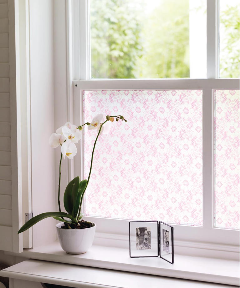 If you avoid orchids because they're 'impossible to keep alive,' read this