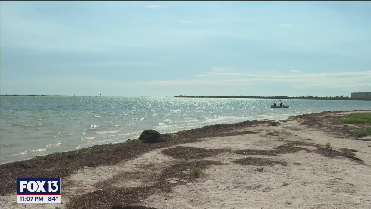 Dunedin Causeway resiliency study