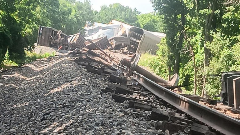 Train derails just feet from animal rescue in Tunica Co