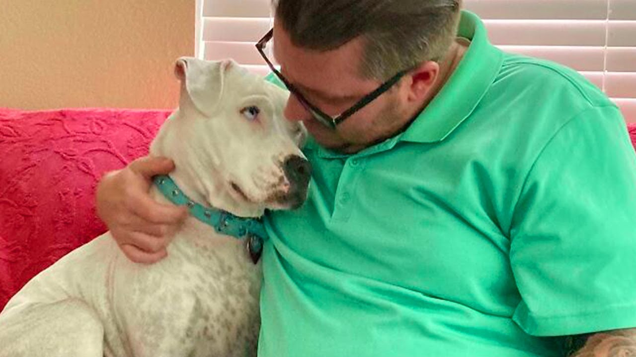 Some dogs are just one of a kind