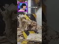 Can This Machine Crush a Log? ASMR Tested