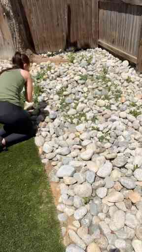 Miracle Weed Killer Hack