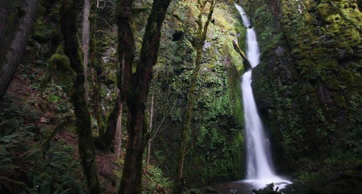 Teen girl dies after fall during hike near Sweet Home