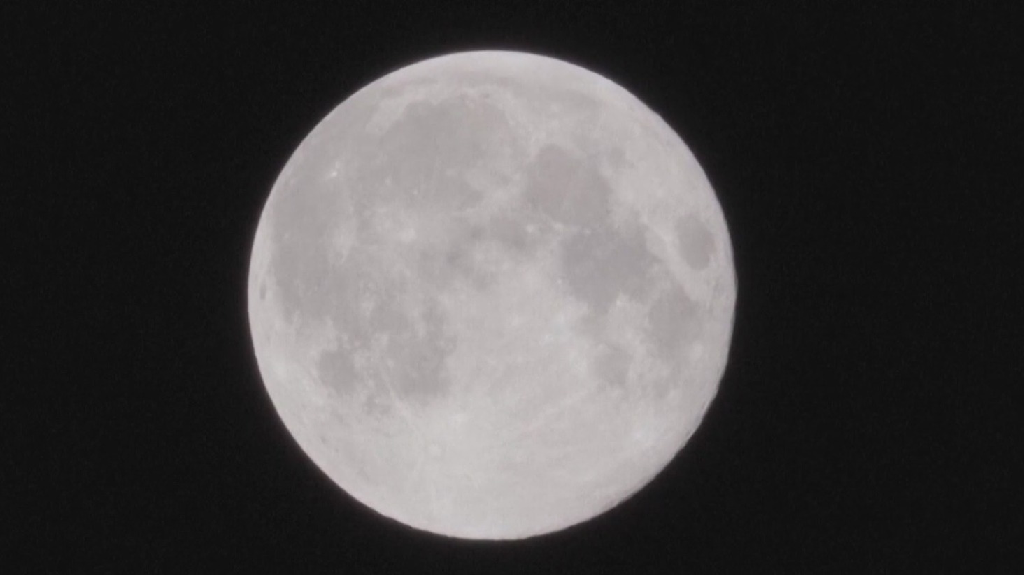 Moon farming may be possible thanks to Texas scientist