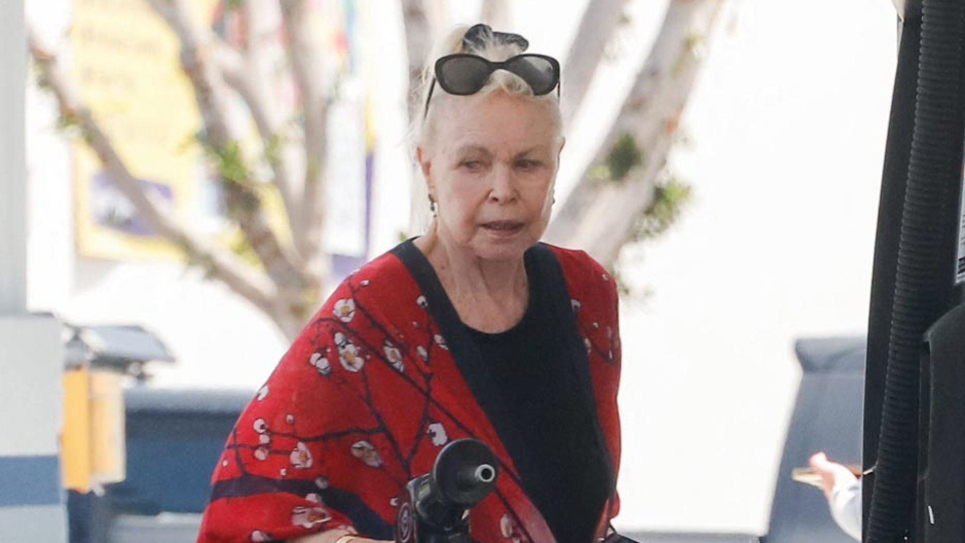The Mamas and the Papas Singer Michelle Phillips Spotted on Rare Outing