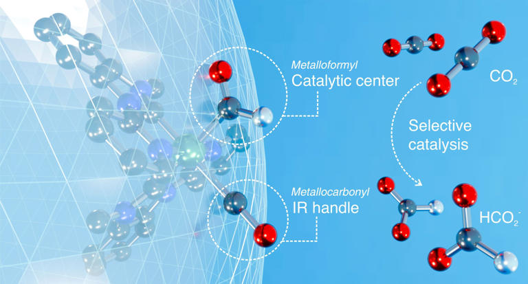 ‘Flower-like’ catalyst mimics photosynthesis to turn CO2 into fuel with ...