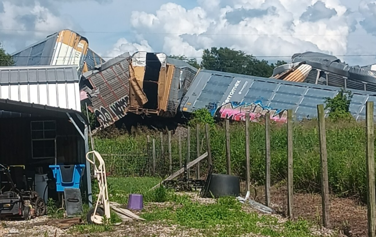 Train derails just feet from animal rescue in Tunica Co