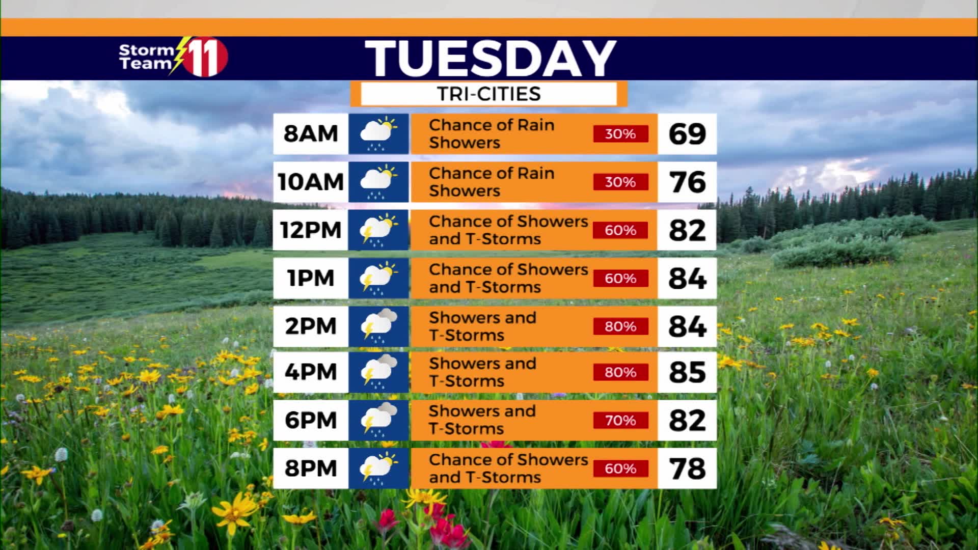Isolated showers and t-storms overnight, rinse and repeat pattern ...