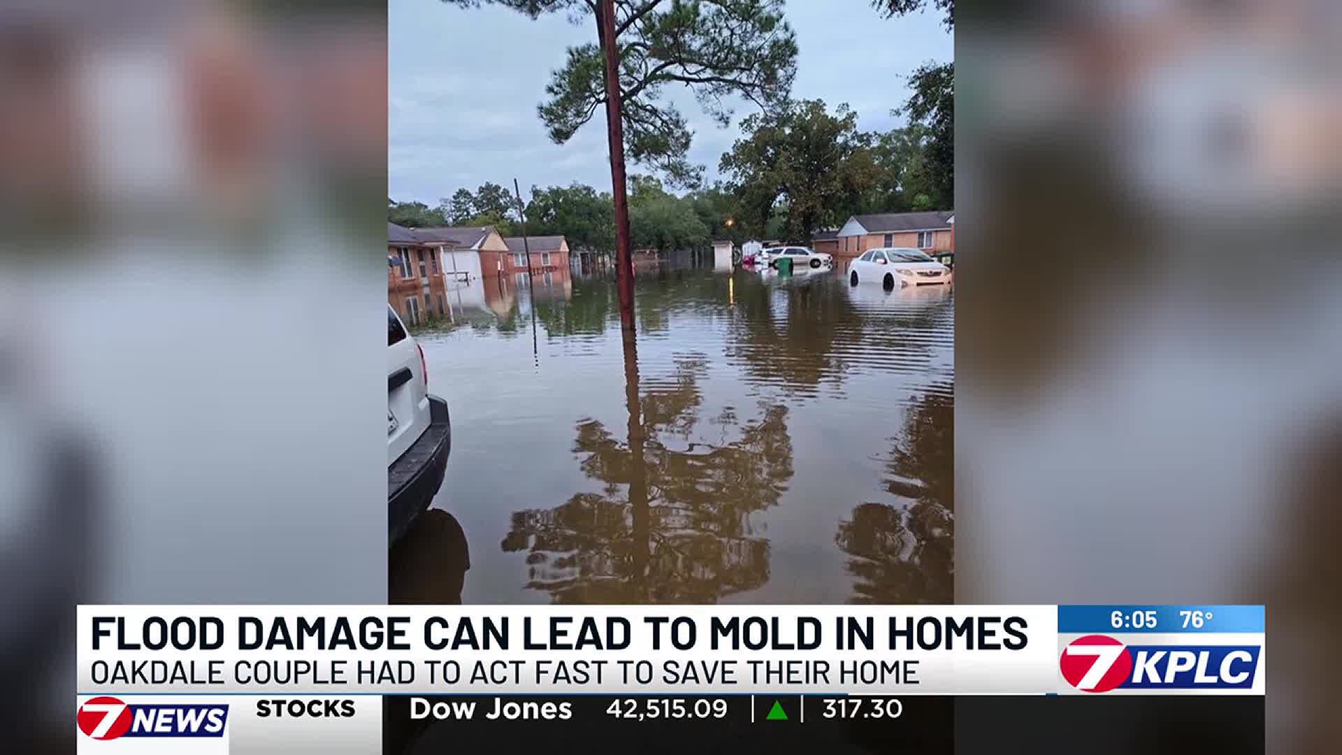 ‘It happens very fast’: Flooding in homes can lead to harmful mold growth