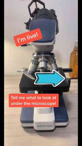What Microscopes Reveal: A Hidden World of Biology