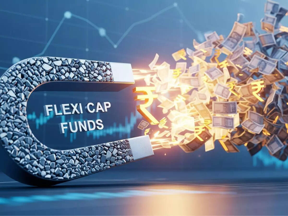Flexi cap mutual funds dominate inflows for third straight month. Are ...