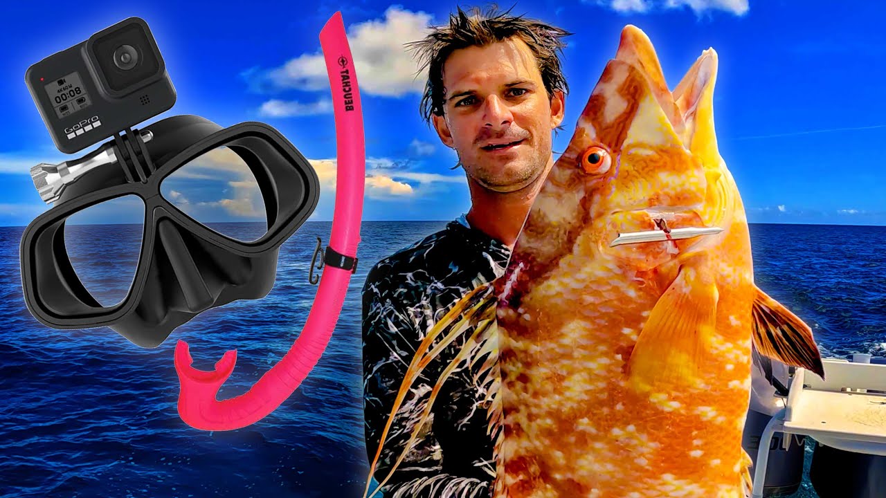 Spearfishing Caught on Camera – Ocean Predators at Work