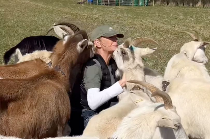 Clarkson's Farm season 5 filming thrown into chaos as Lisa Hogan shares ...