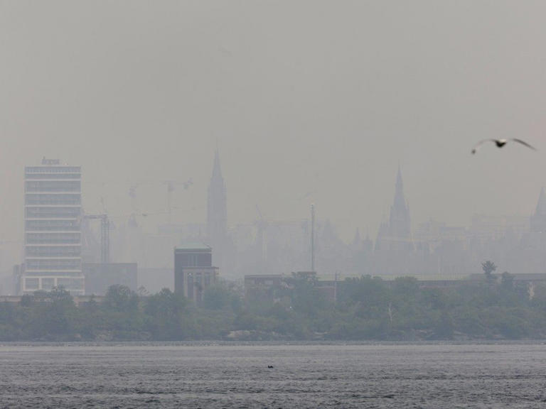 Hersh: Ottawa Council must take a risk and ban fossil fuel ads