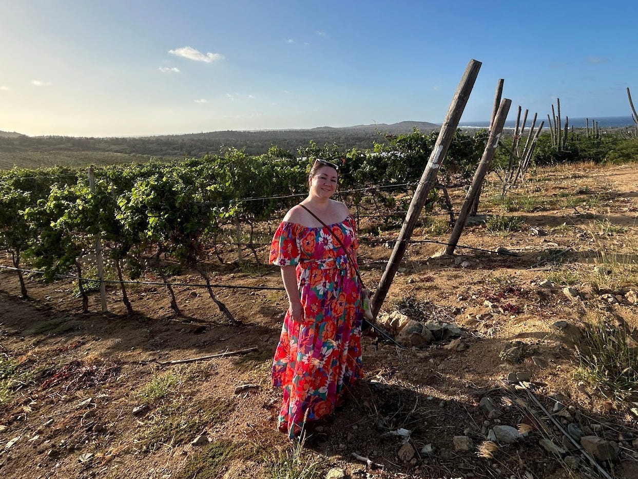 I had no idea how brutal traveling during the first trimester of ...