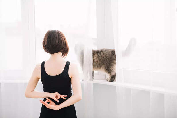 Decode Your Cat's Tail: Signs You Shouldn't Ignore