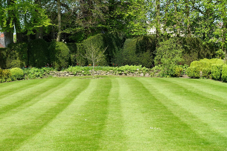 Why is my garden grass brown? 5 expert lawn care fixes that actually work