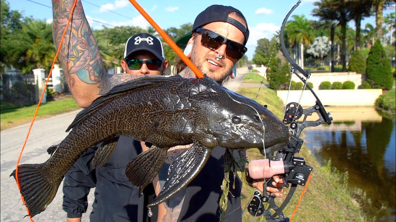 Hunting Armored Catfish – Bowfishing Wild Invasive Monsters
