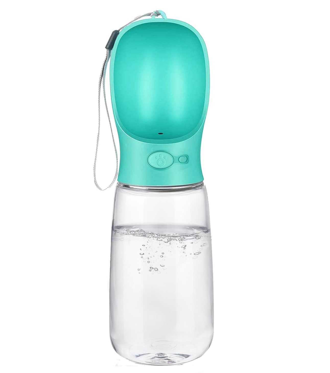 6 must-have products to keep your dog cool during a heatwave